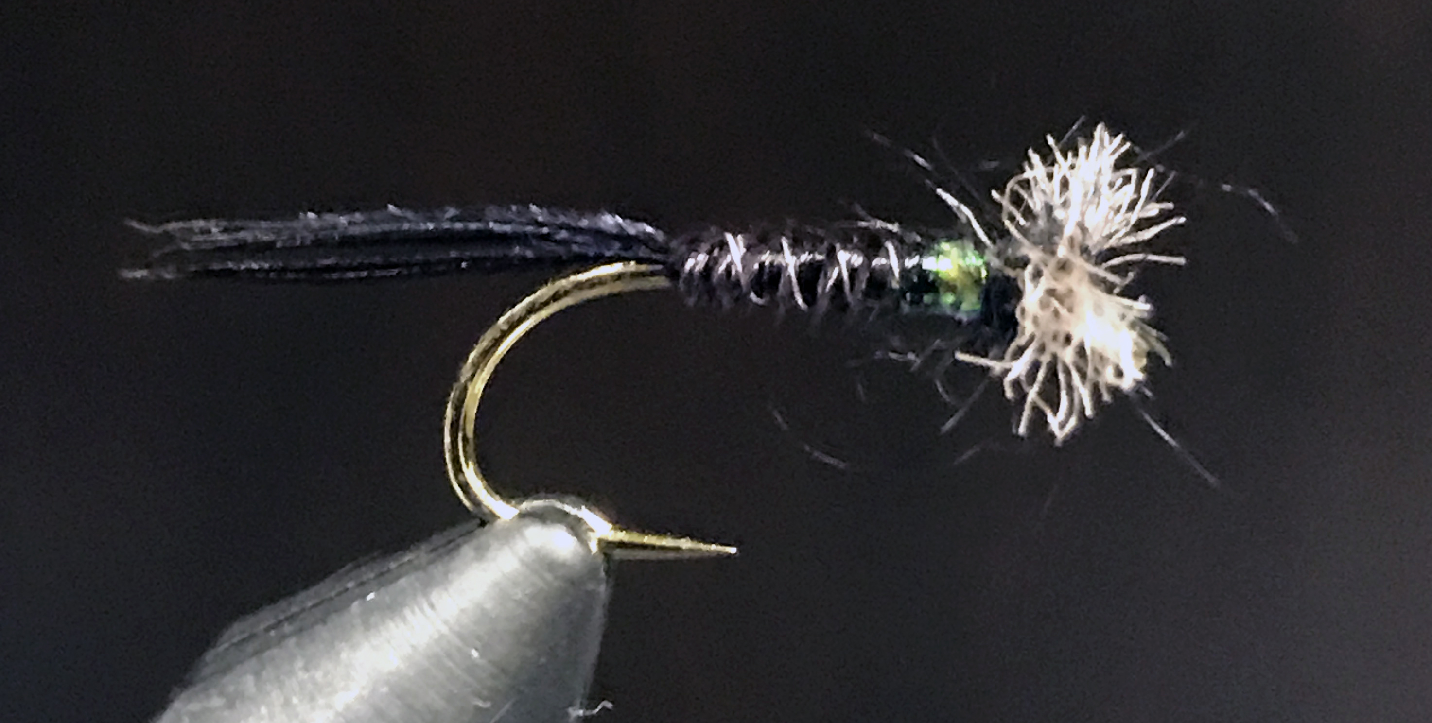 Black Cruncher | SFOTF