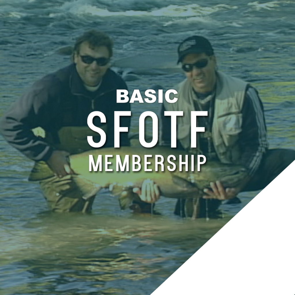 Products Archive | Page 3 of 5 | SFOTF