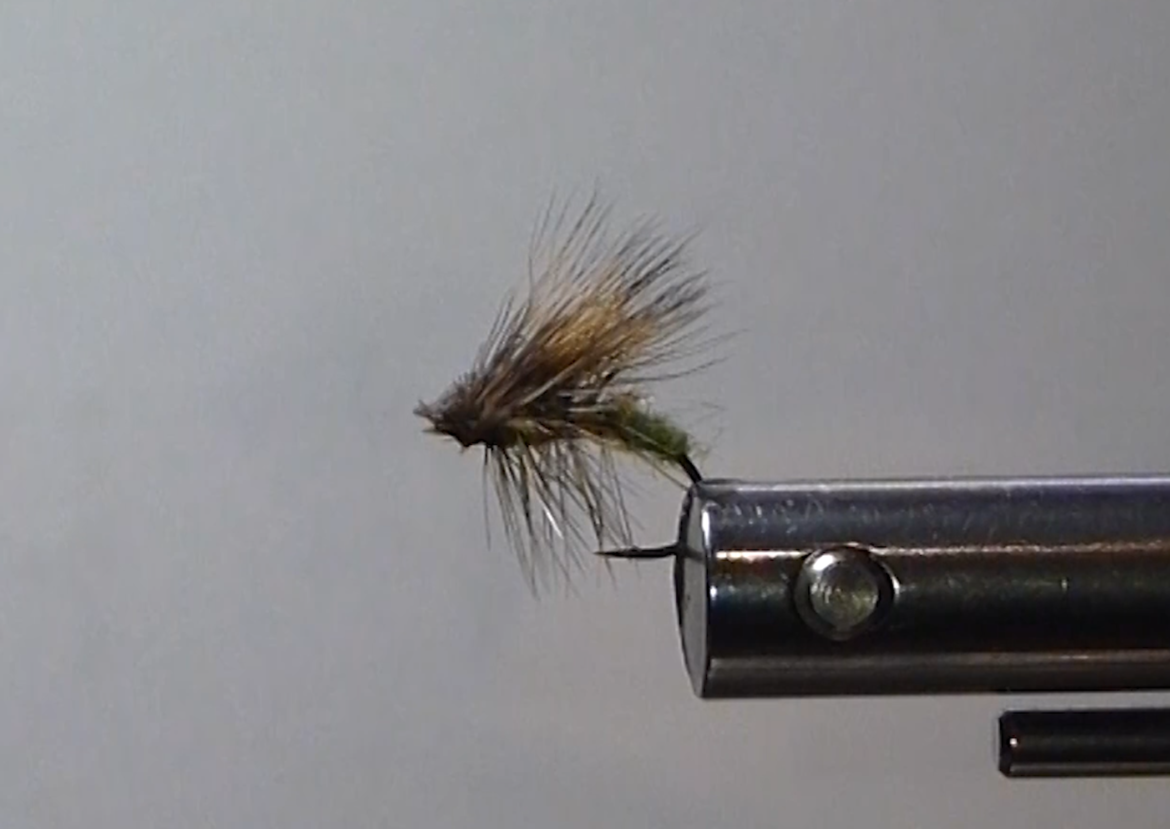 Egg Laying Caddis | SFOTF