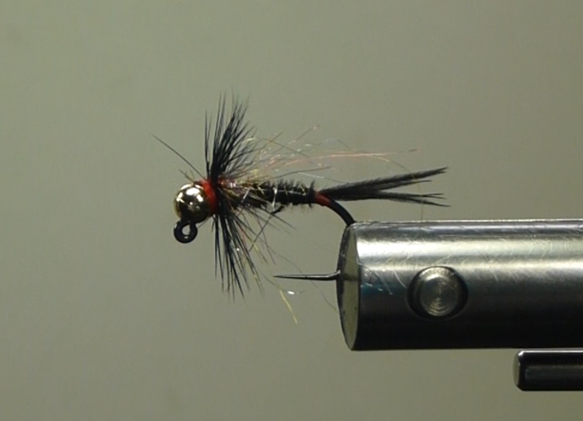 Black Warrior Nymph | SFOTF