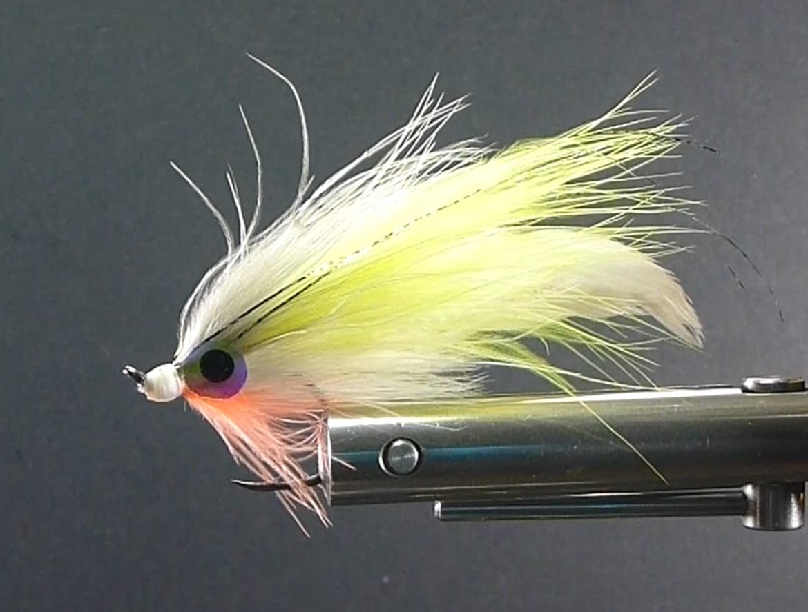 Lil Pike Fly | SFOTF