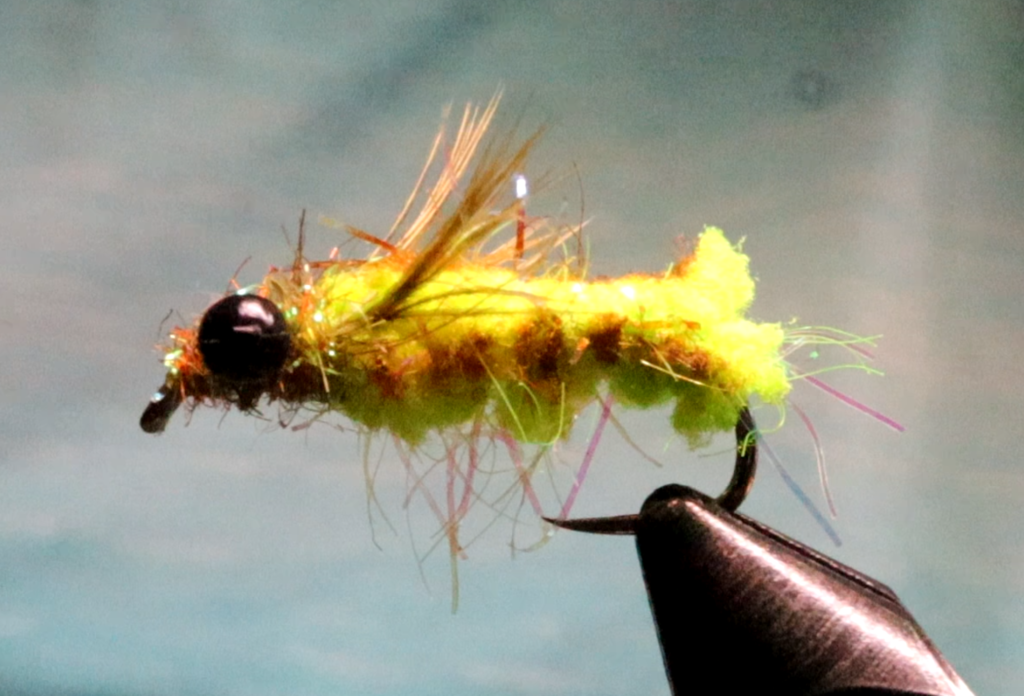 Deb Dragon Fly | SFOTF