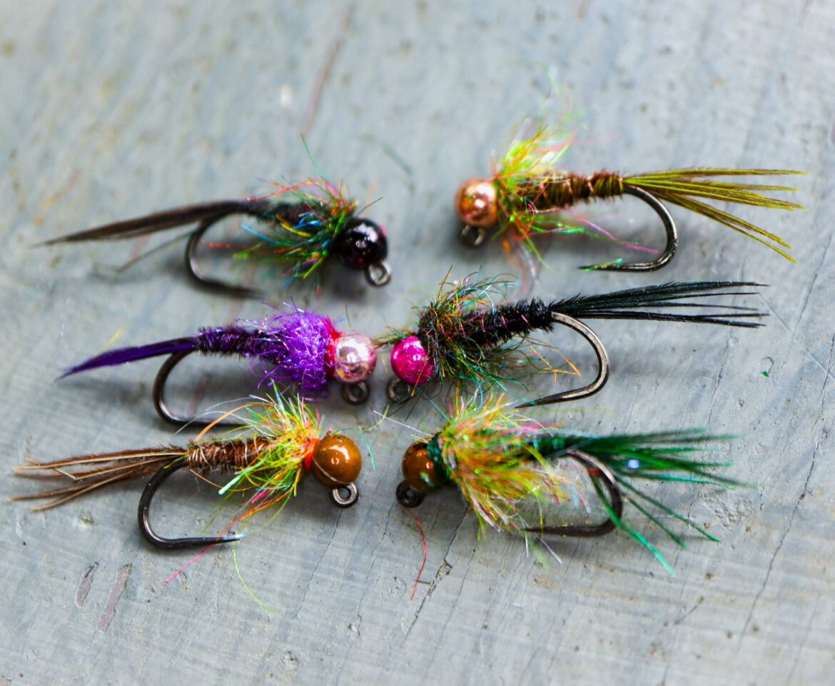 Products Archive | SFOTF