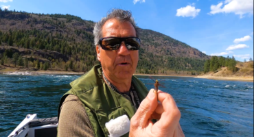 Sport Fishing on the Fly | SFOTF - Home