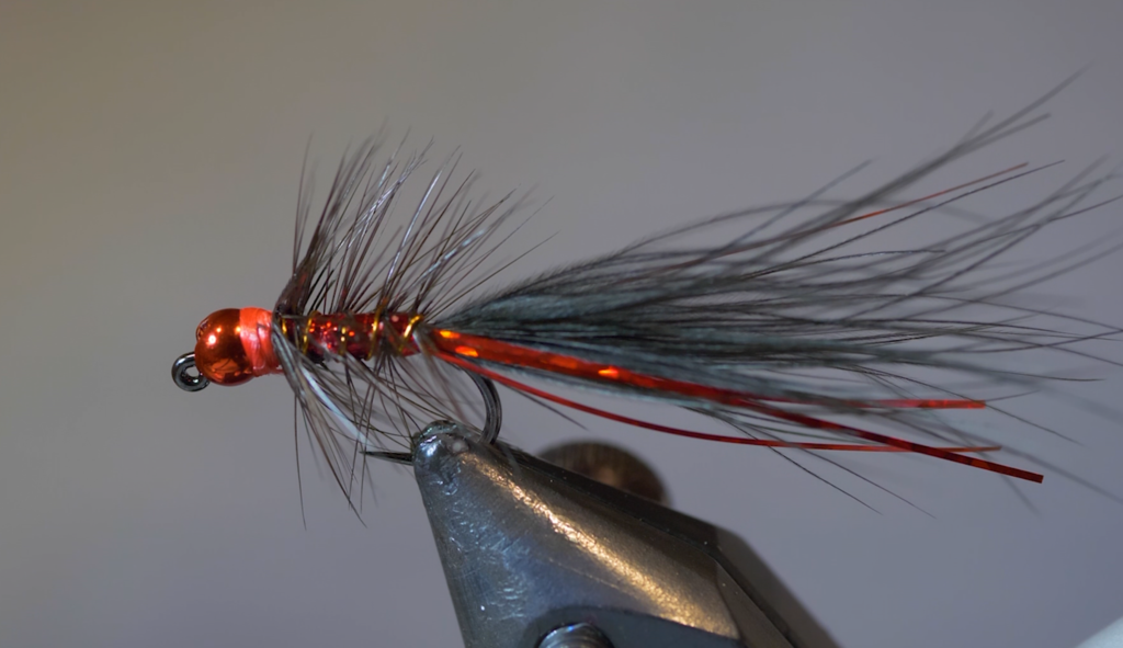 Red Dancer Leech Pic | SFOTF