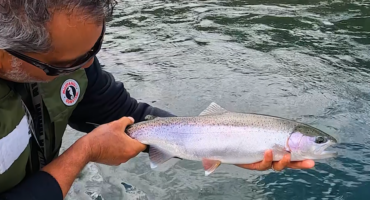 Sport Fishing on the Fly | SFOTF - Home