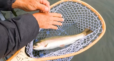 Sport Fishing on the Fly | SFOTF - Home